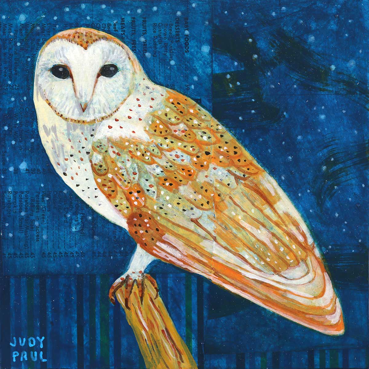 Barn Owl 2 – Judy Paul