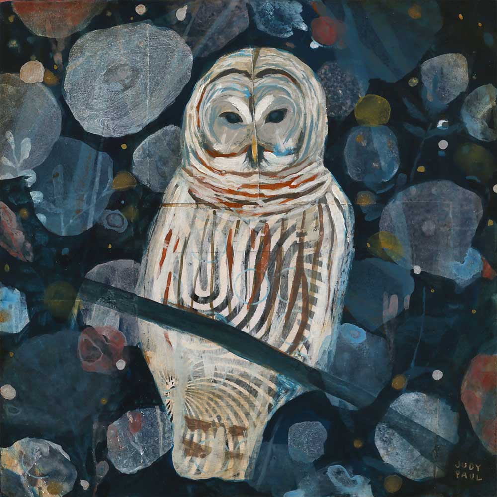 Barred Owl – Judy Paul